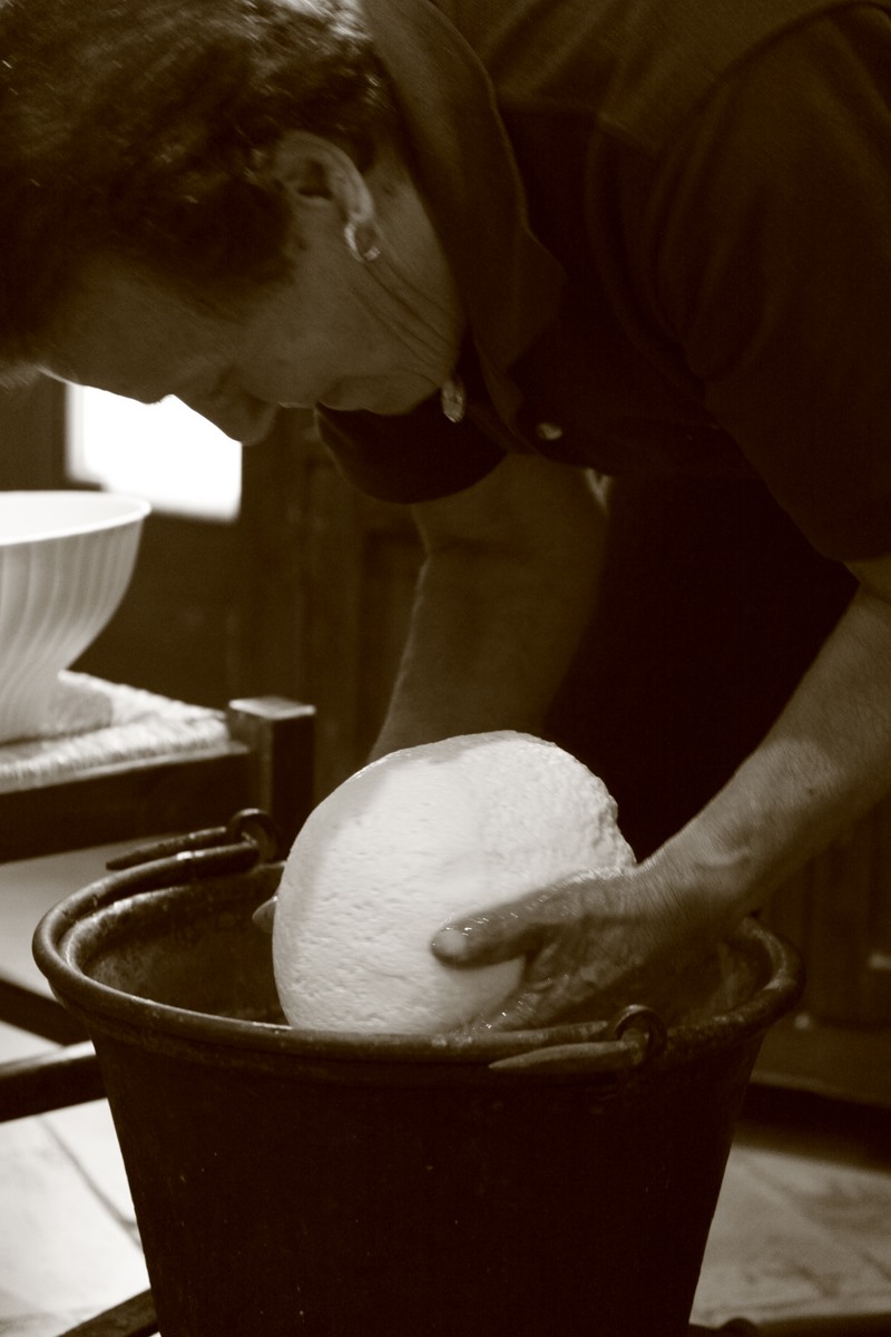 Fare il formaggio e la ricotta dal latte di pecora con il metodo ...